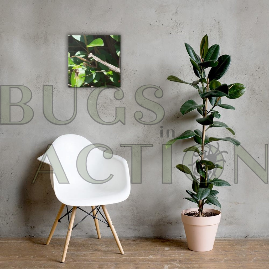 Mantis Canvas - Bugs In Actions
